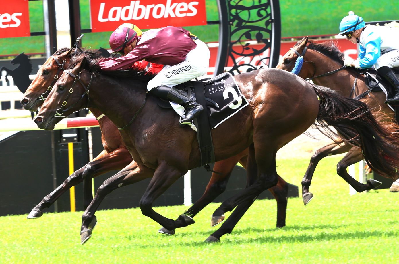 Spirit Of Boom Classic nominations – 2026 | Just Horse Racing