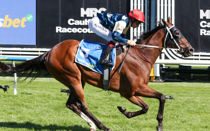 Birdman heads odds in small but competitive Doomben Cup field | Just ...