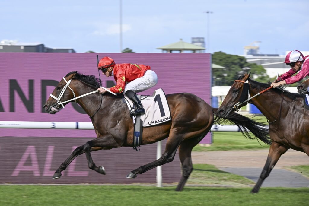 Sydney raiders short favouritism in Gunsynd Classic betting | Just ...