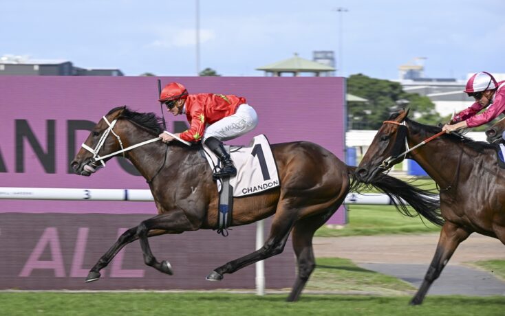 Chris Waller claims record ninth win in the Phar Lap Stakes | Just ...