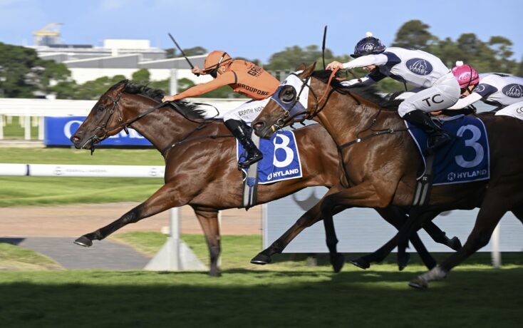 The Coast Field & Odds – 2026 | Just Horse Racing