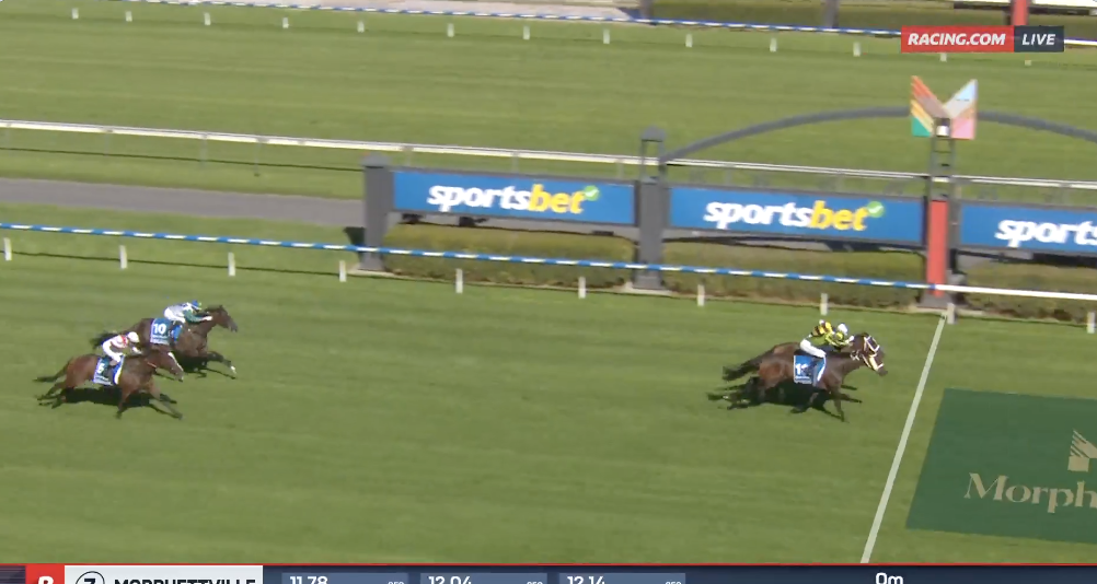 Adelaide Cup results and replay – (American Wolf) 2026 | Just Horse Racing