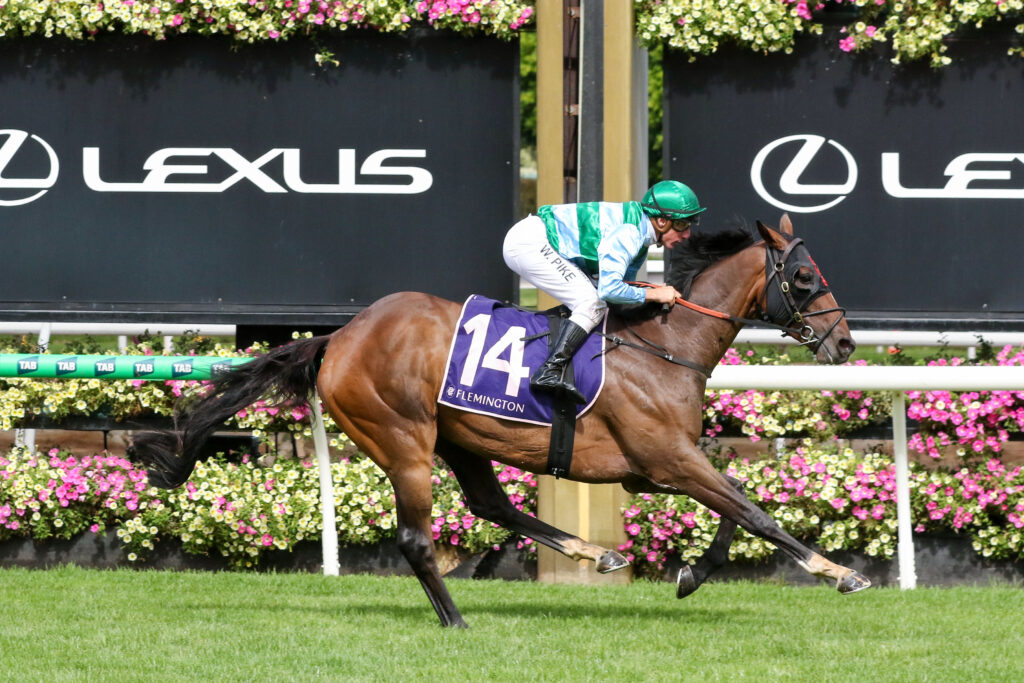 Andrew Ramsden Stakes 2026 – Tips, Field, Betting, Odds and Horse ...
