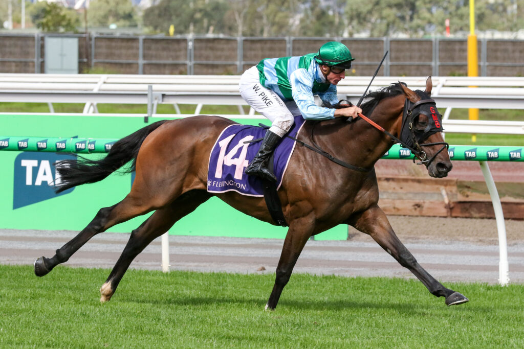 Melbourne Cup spot on the line in lottery Andrew Ramsden Stakes Field ...