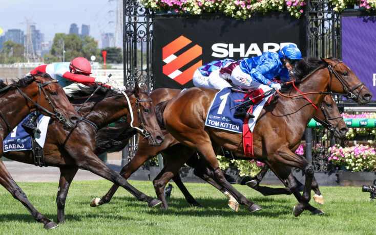 All-Star Mile 2026 – What the Jockeys Said | Just Horse Racing