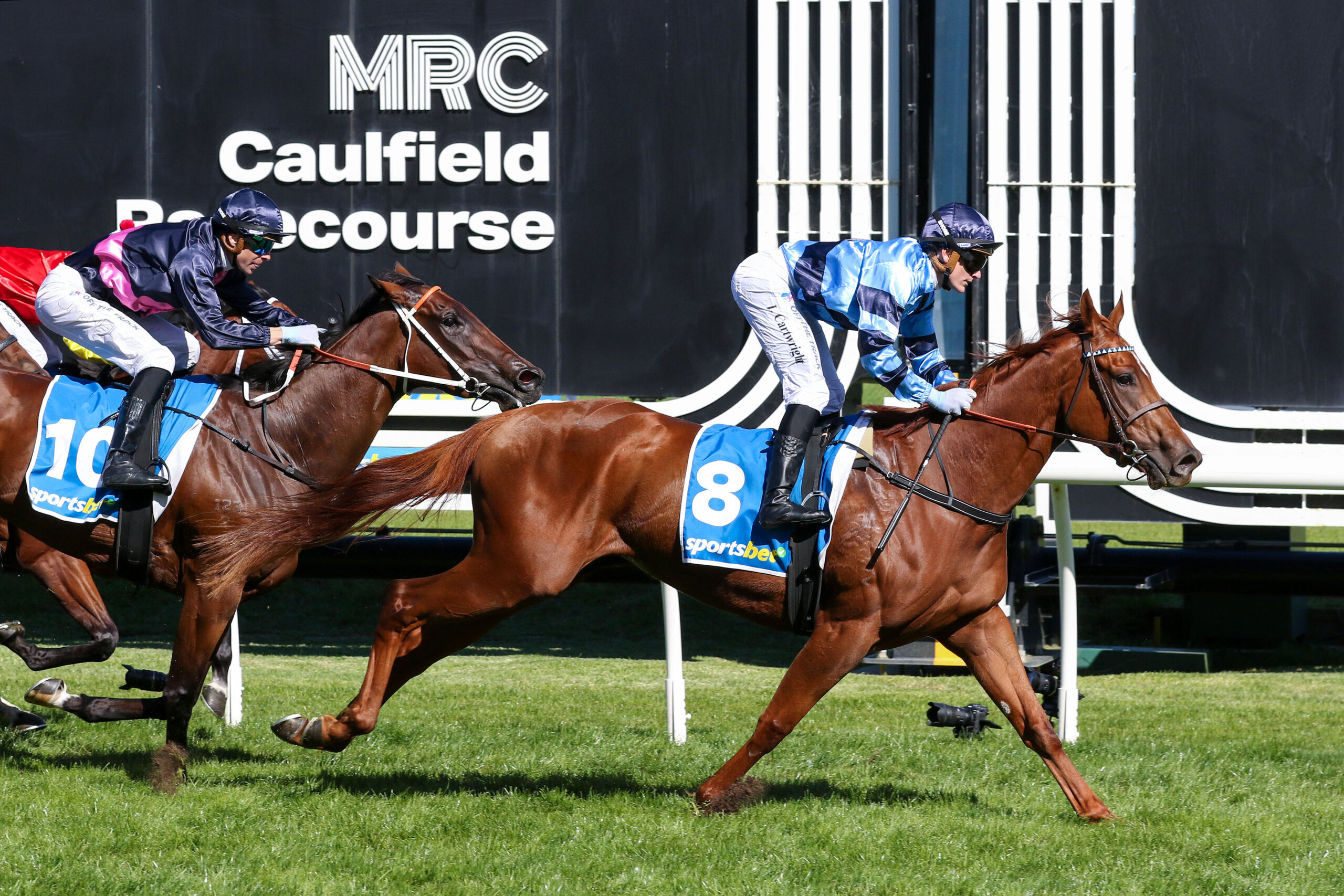 Extragalactic heads odds in wide open field for The Goodwood at ...