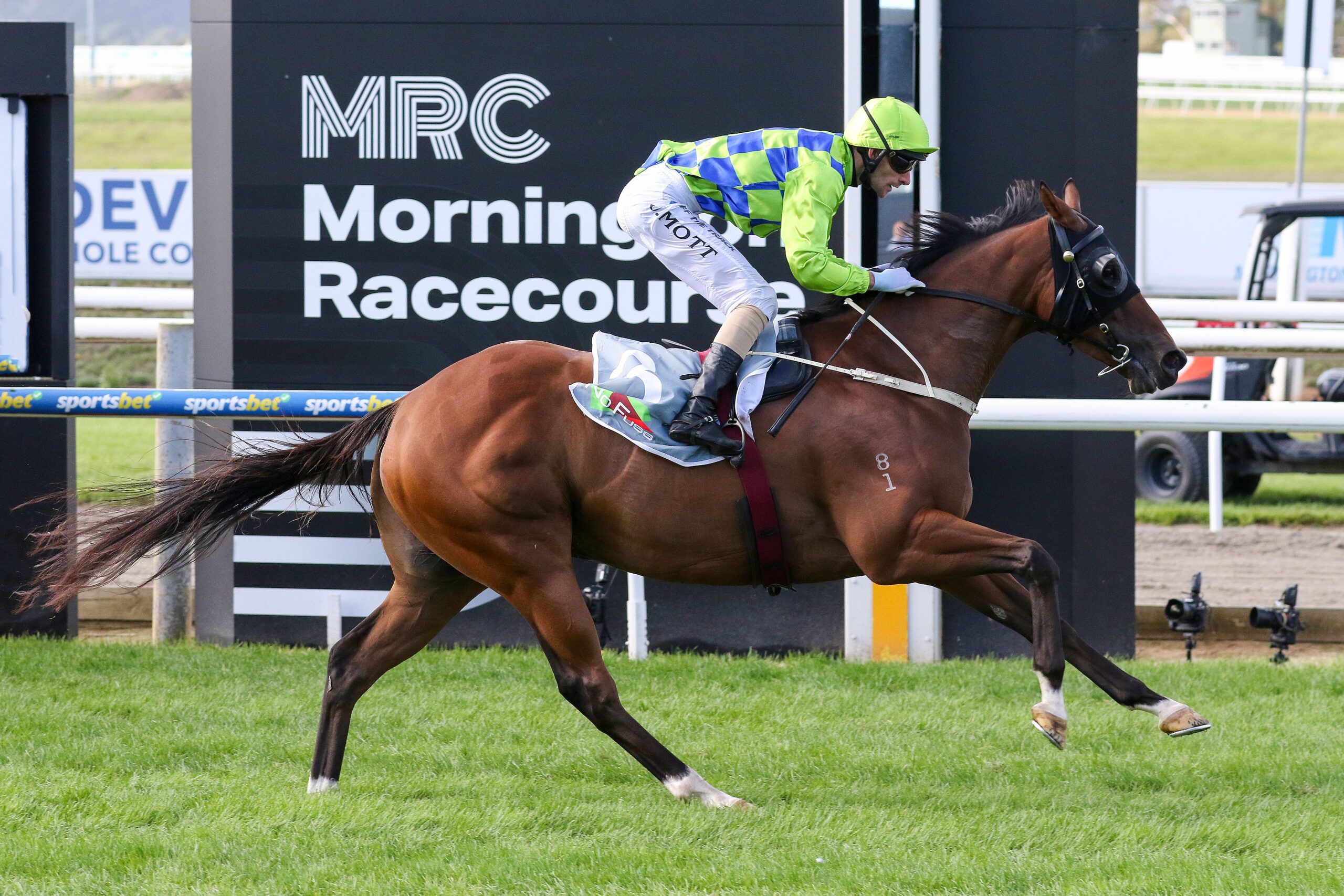 0V9WONDER BOY0613 | Just Horse Racing