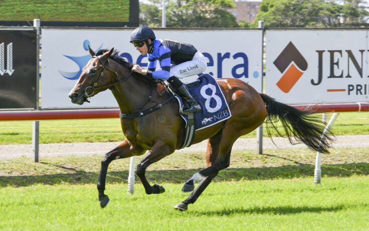 Maher’s young Lady has Game | Just Horse Racing