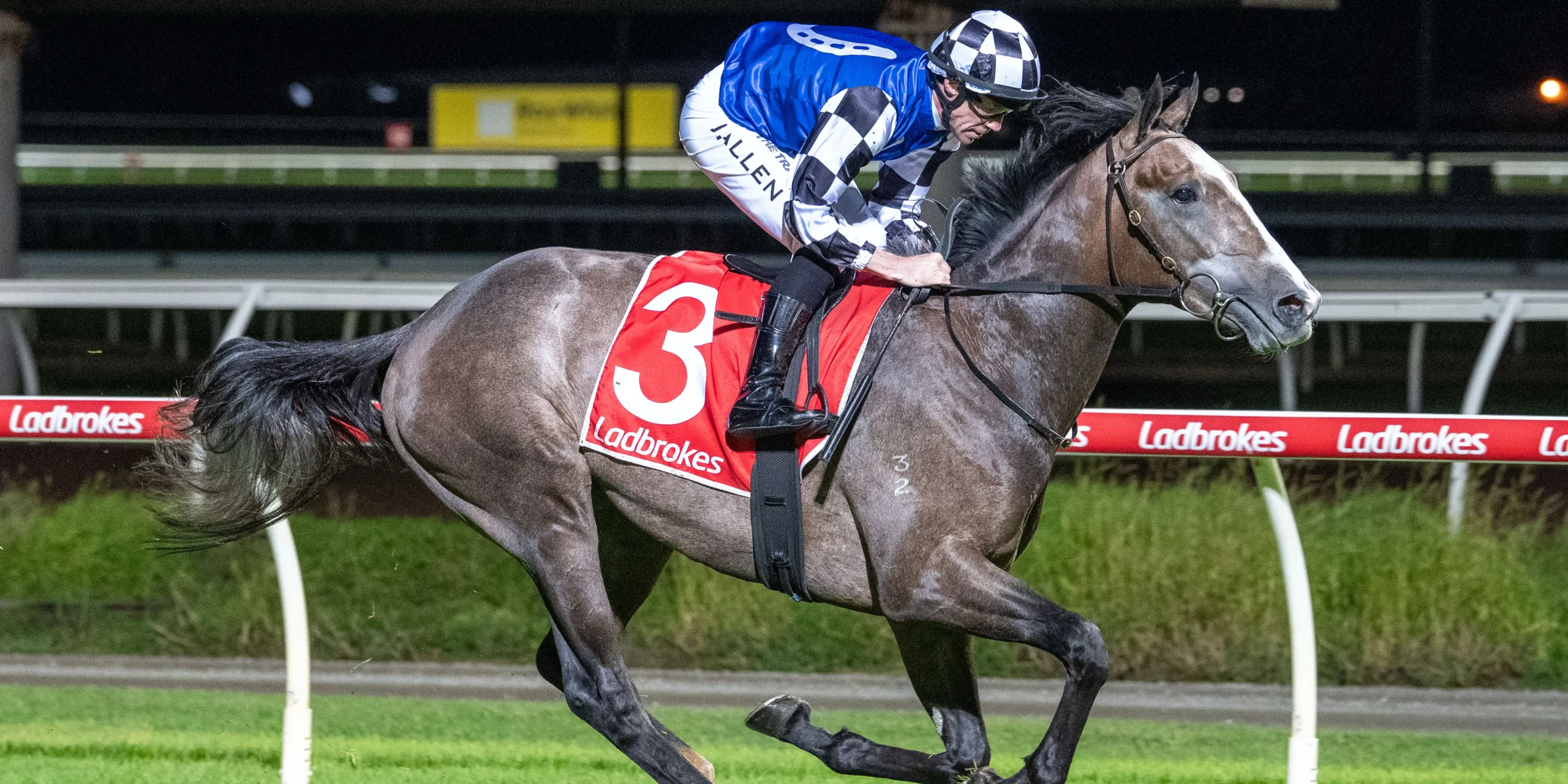Emergency heads odds in South Australian Derby field | Just Horse Racing