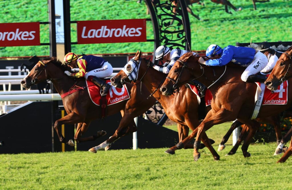 Bright Shadow Quality nominations – 2026 | Just Horse Racing
