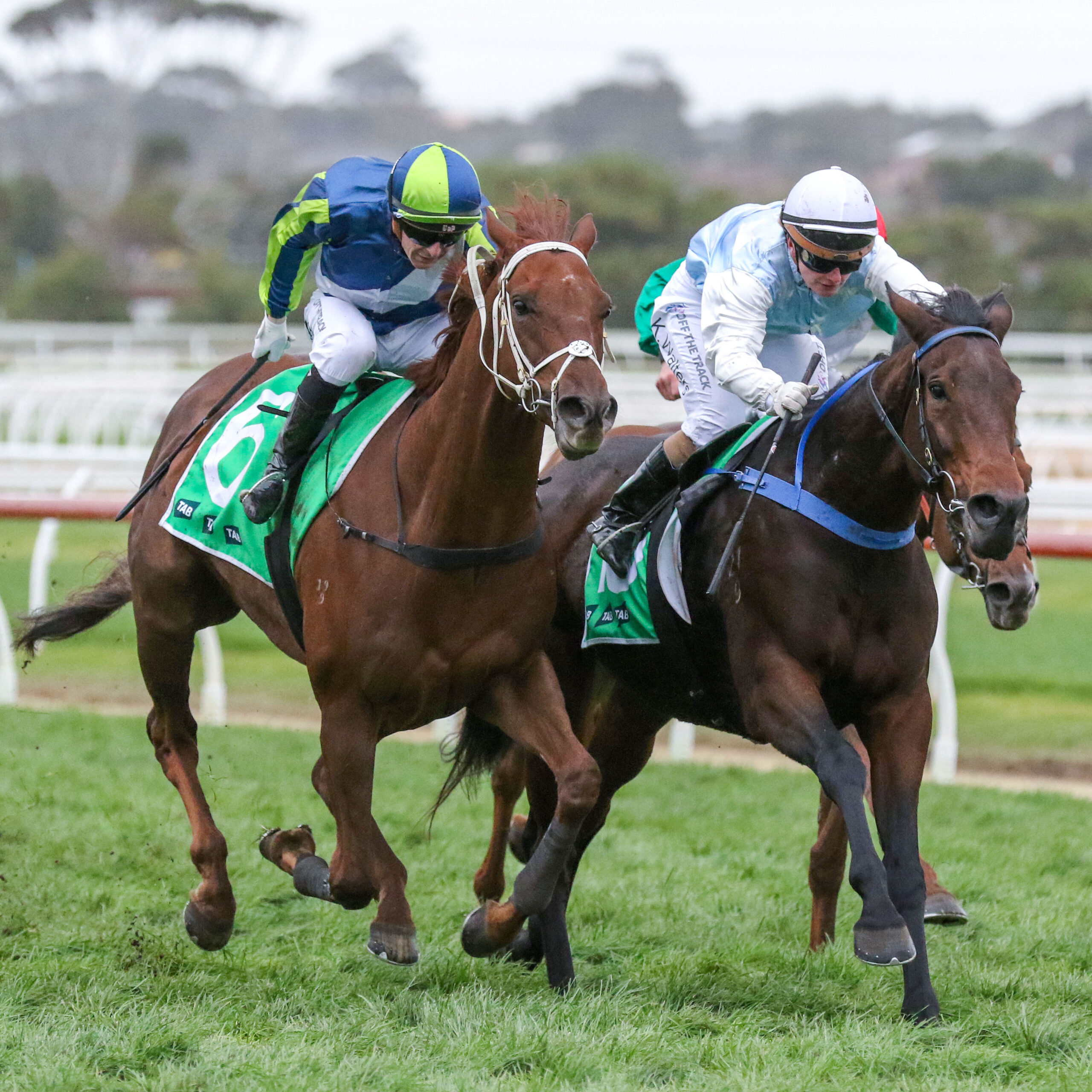 0V9ANY LUCK1690 | Just Horse Racing