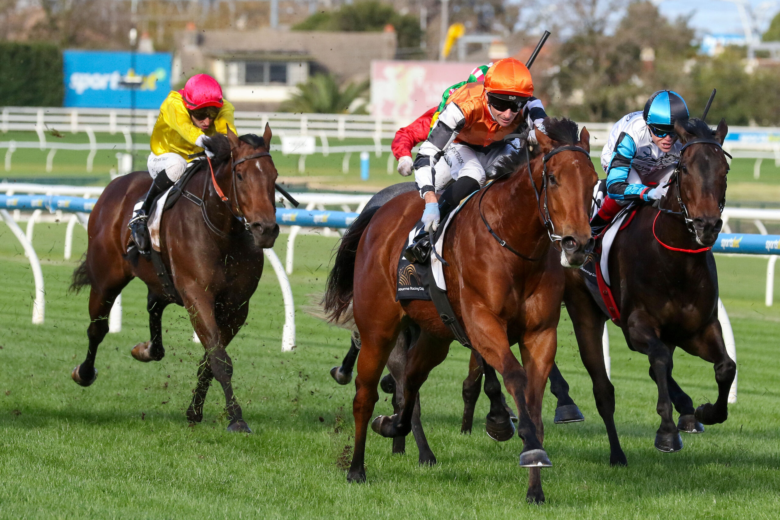 0V9BAZABALL REWARDED0734 | Just Horse Racing