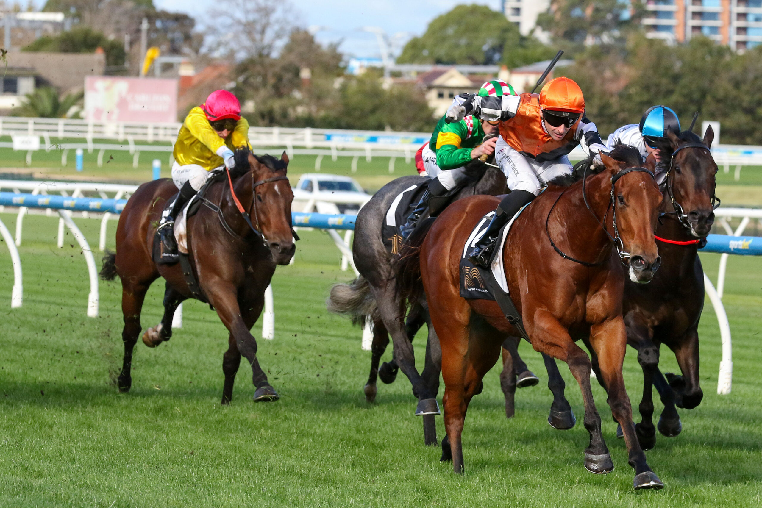 0V9BAZABALL REWARDED0738 | Just Horse Racing