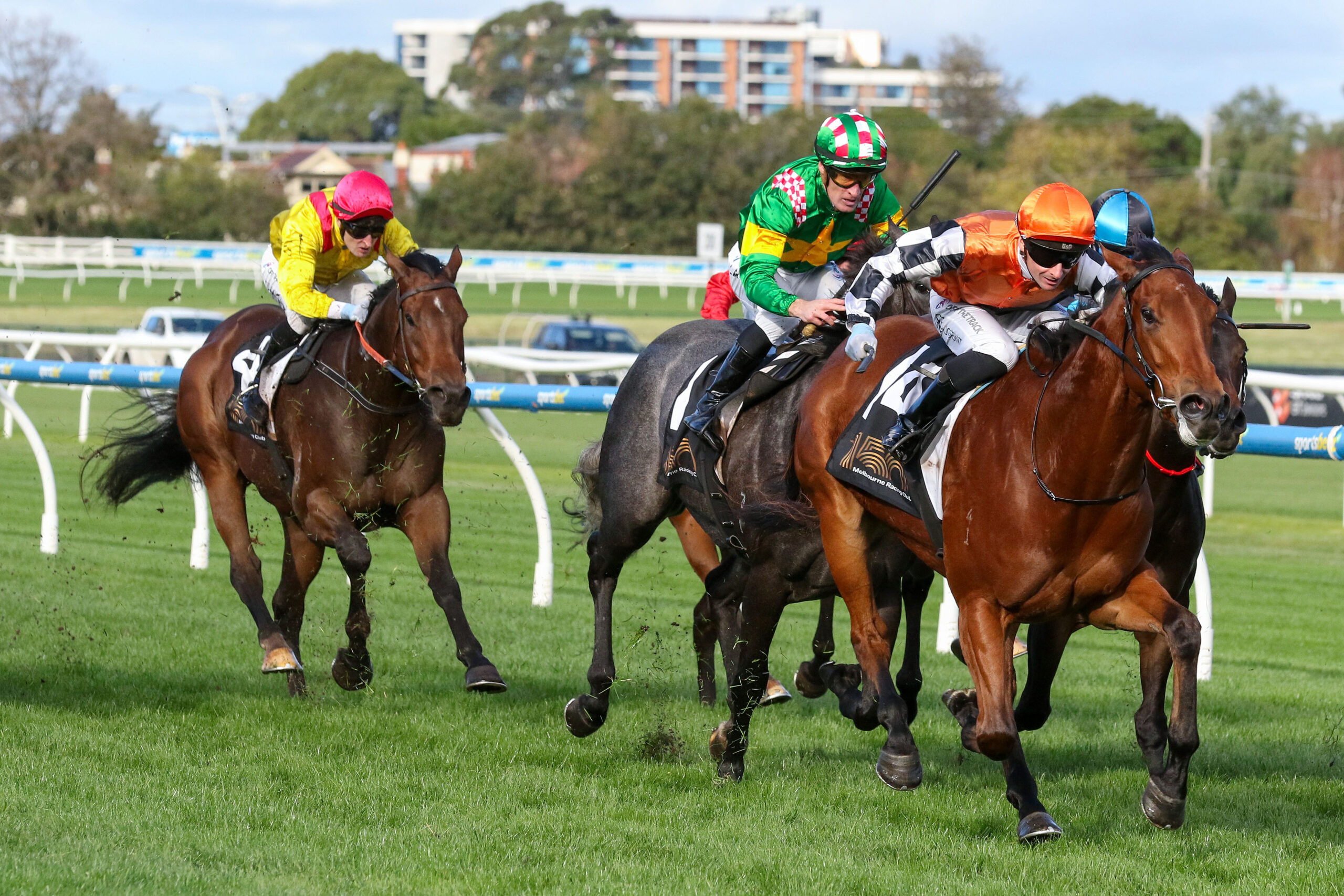 0V9BAZABALL REWARDED0741 | Just Horse Racing