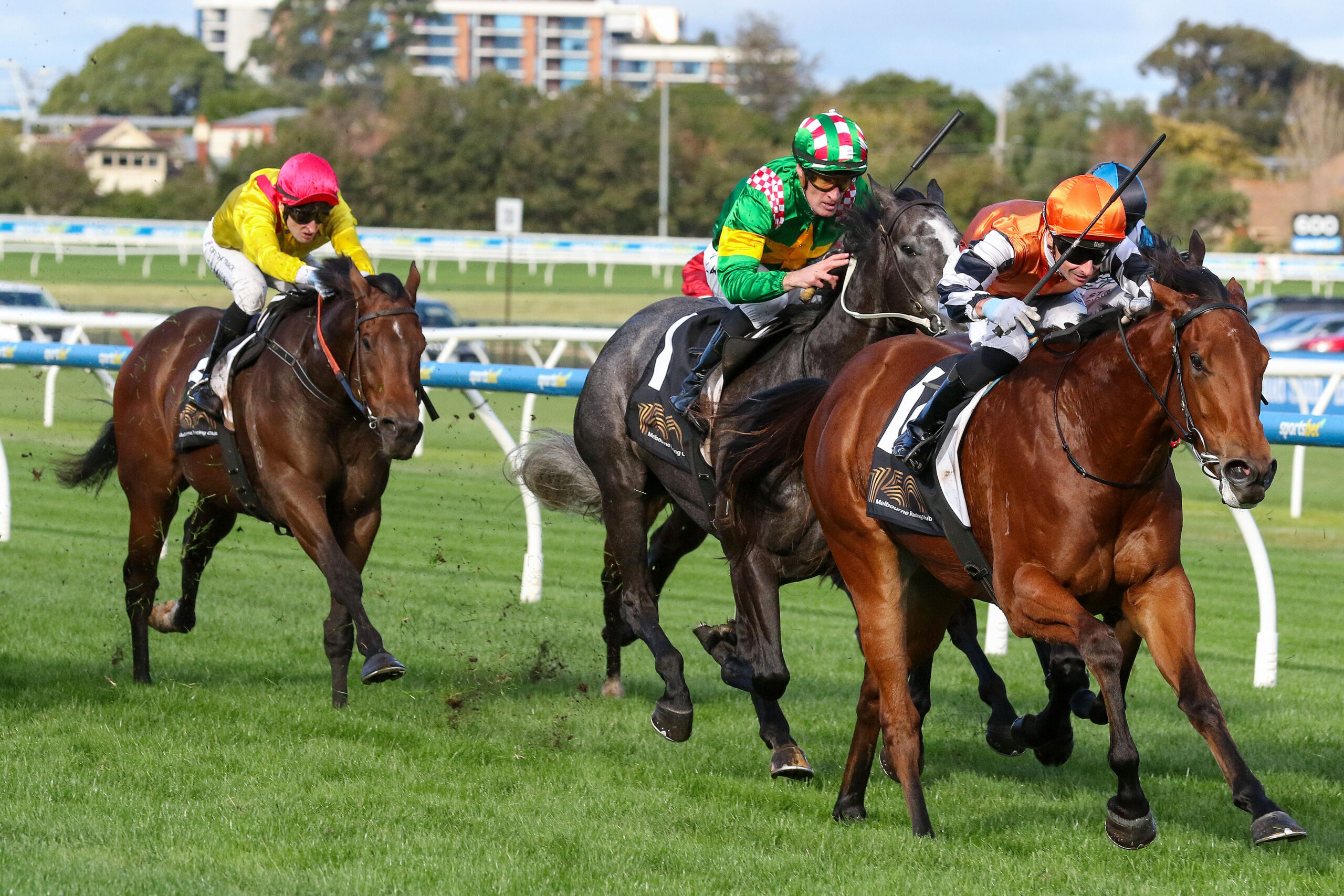 0V9BAZABALL REWARDED0742 | Just Horse Racing