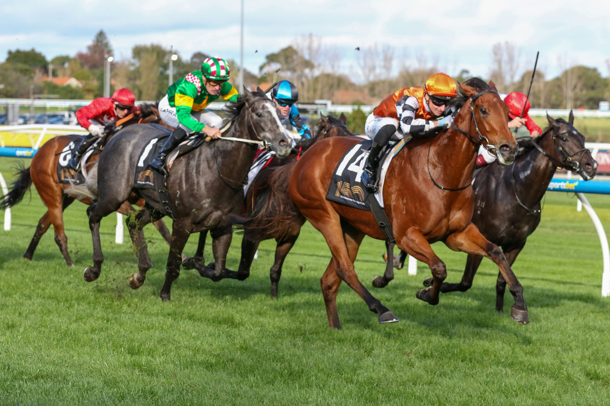 0V9BAZABALL REWARDED0750 | Just Horse Racing