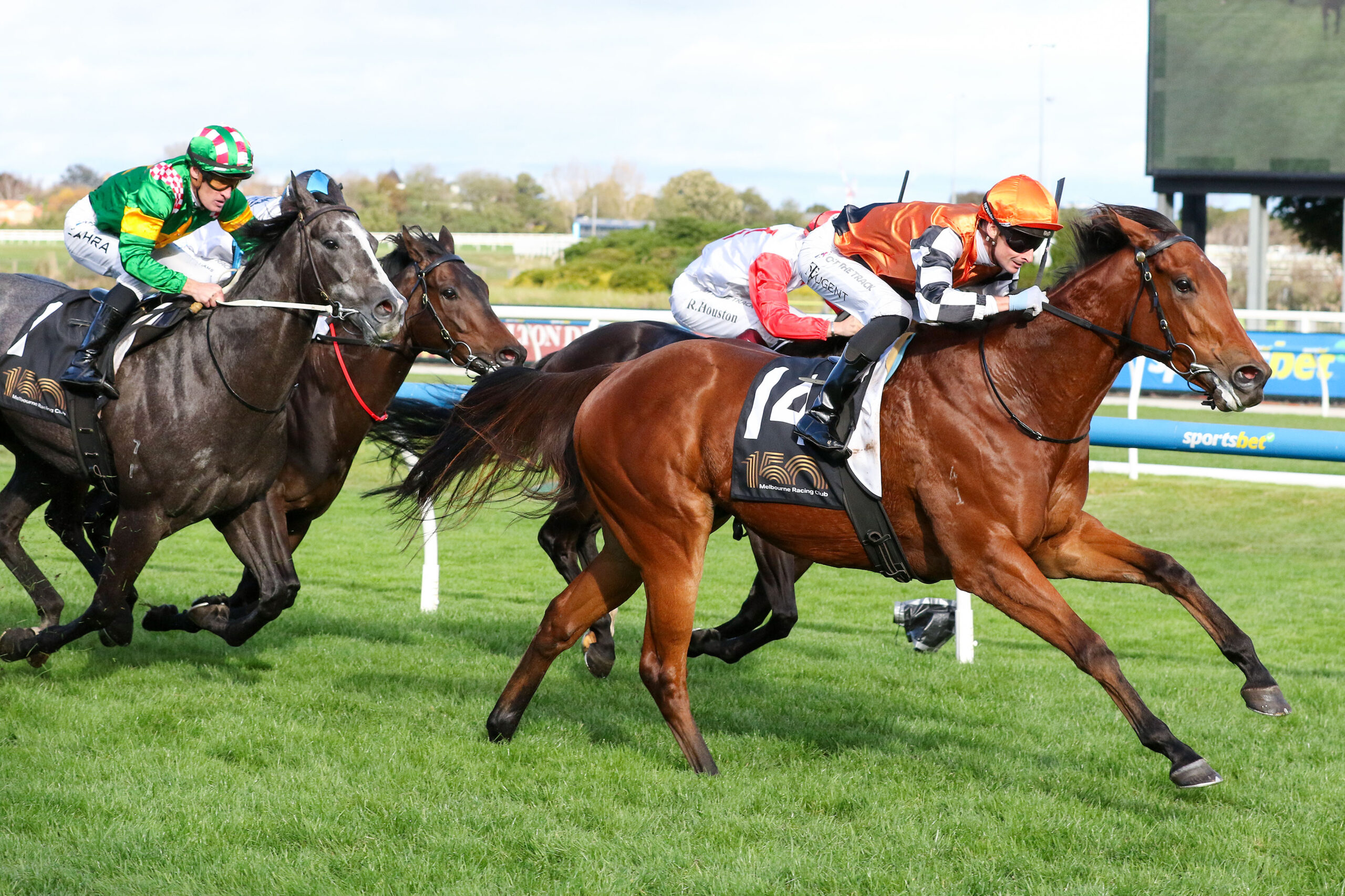 0V9BAZABALL REWARDED0755 | Just Horse Racing