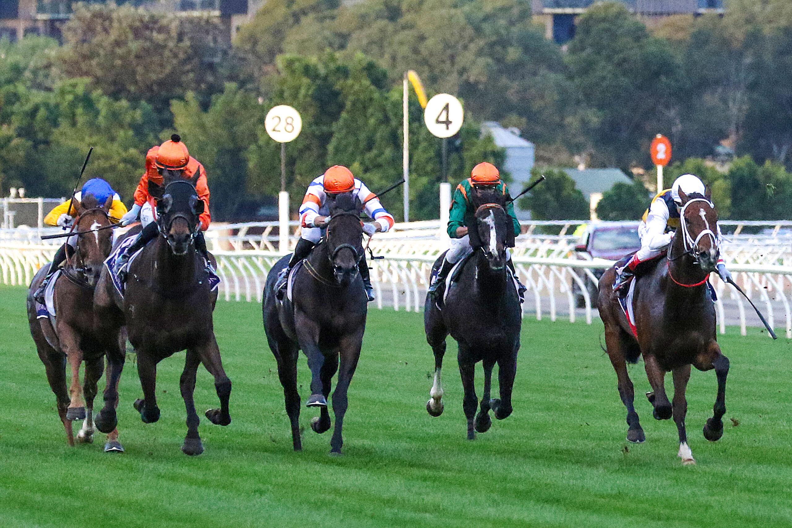 0V9GHETTO SUPASTAR1111 | Just Horse Racing