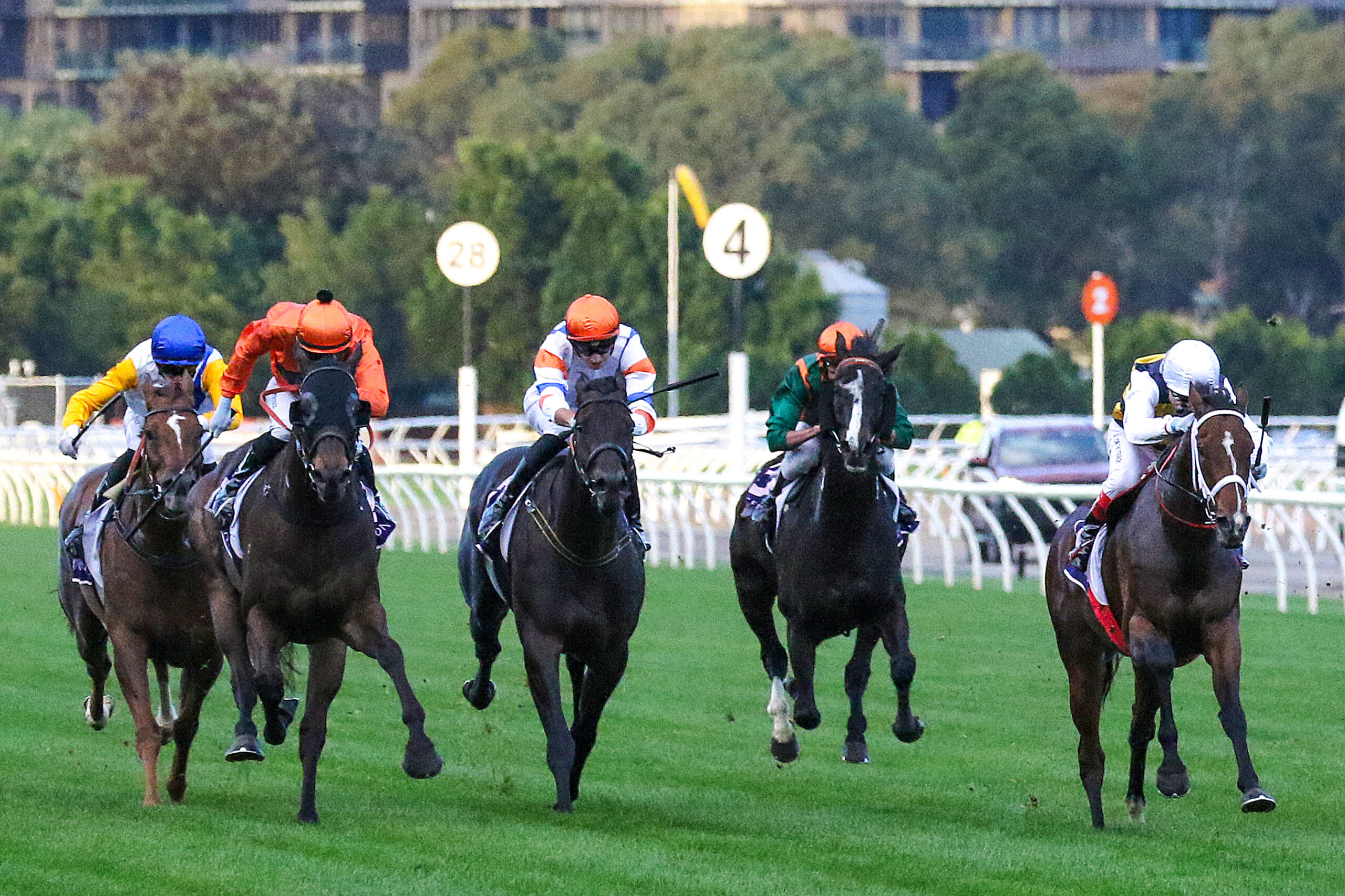 0V9GHETTO SUPASTAR1112 | Just Horse Racing