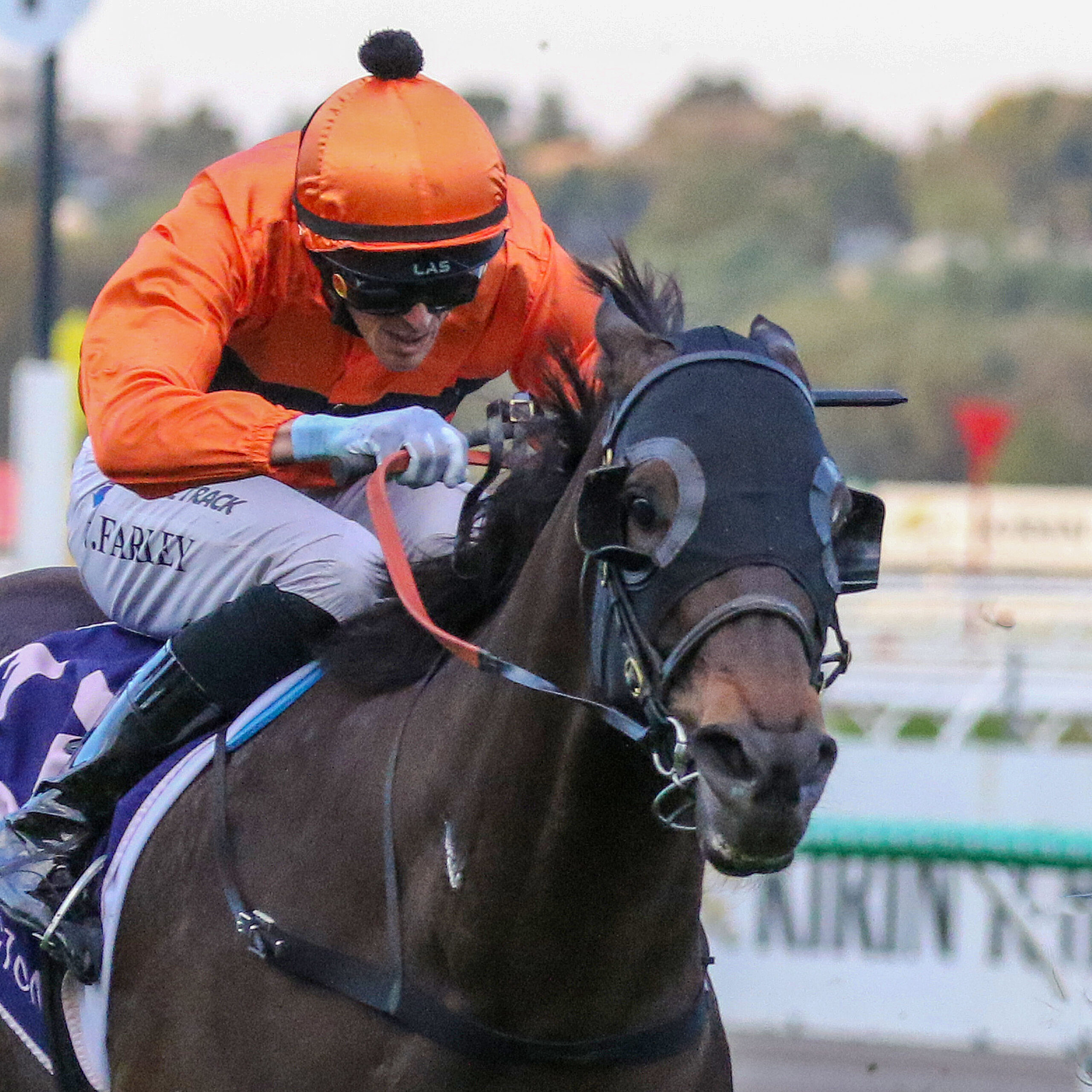 0V9GHETTO SUPASTAR1144 | Just Horse Racing