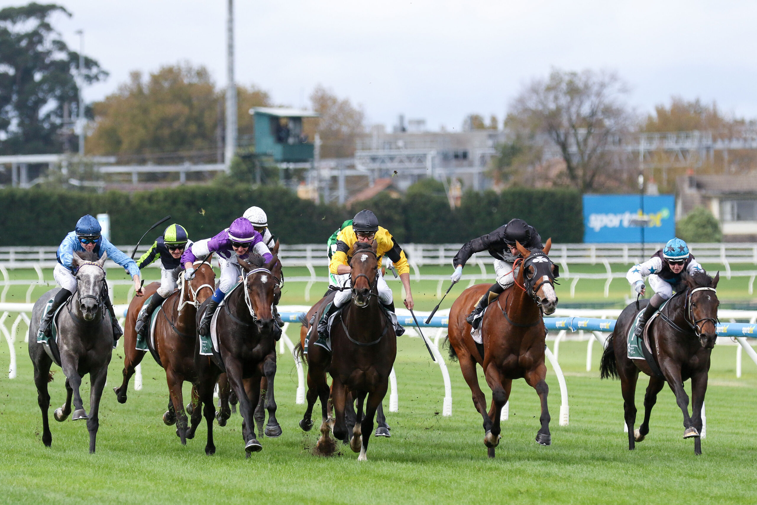 0V9HIGHVOL0485 | Just Horse Racing