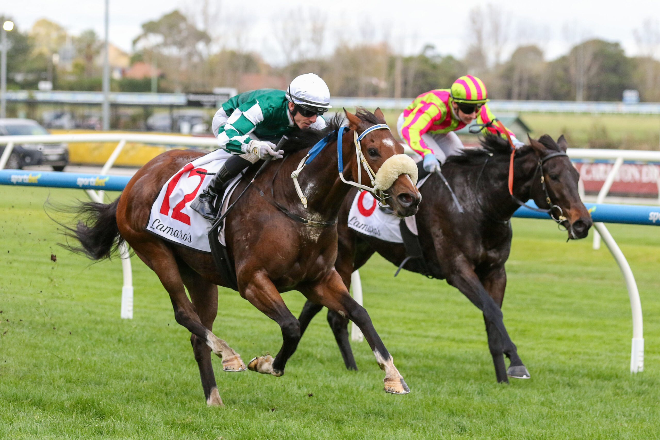 0V9JEWEL OF HEAVEN0604 | Just Horse Racing