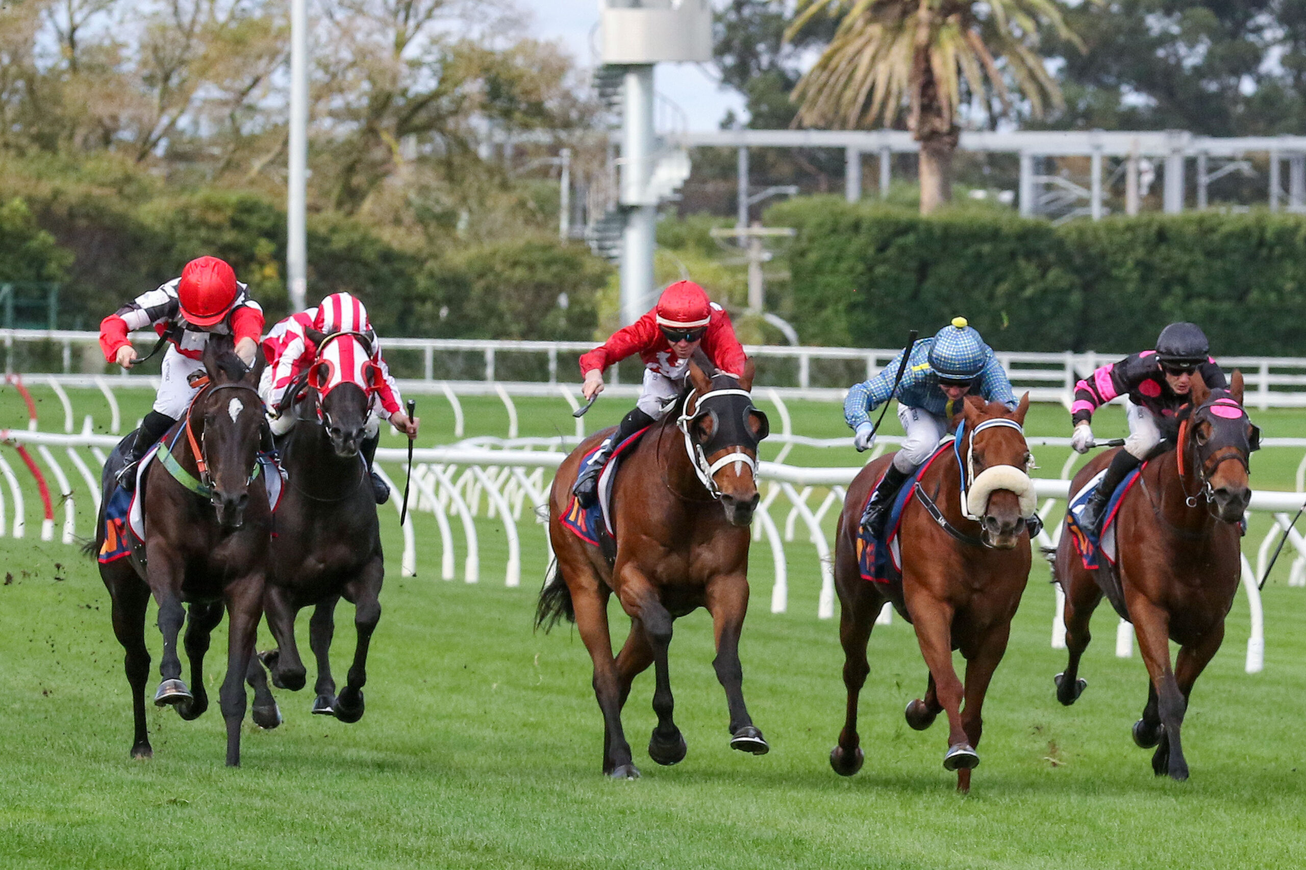 0V9MAKDANE0646 | Just Horse Racing