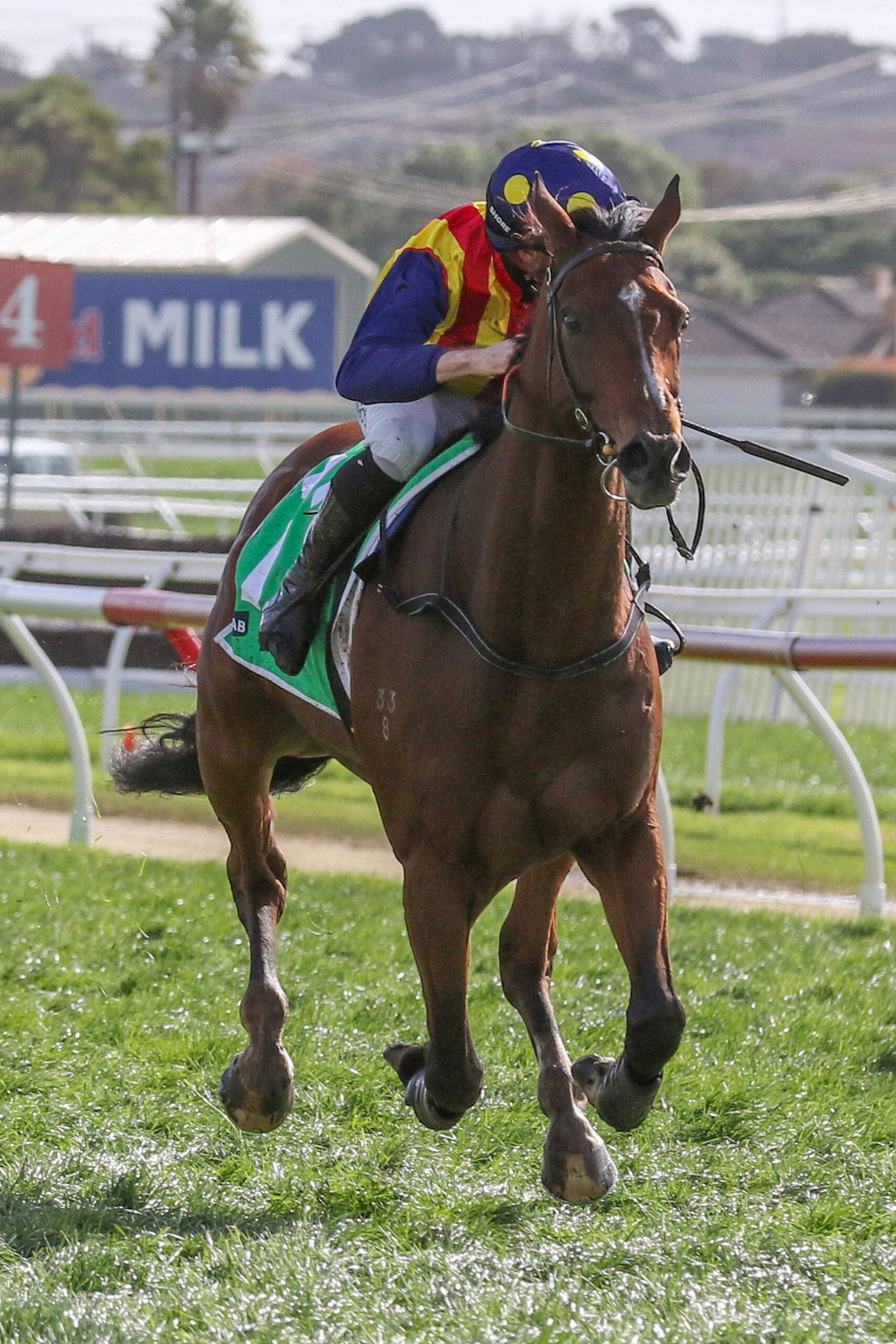 0V9MR WATERVILLE0051 | Just Horse Racing