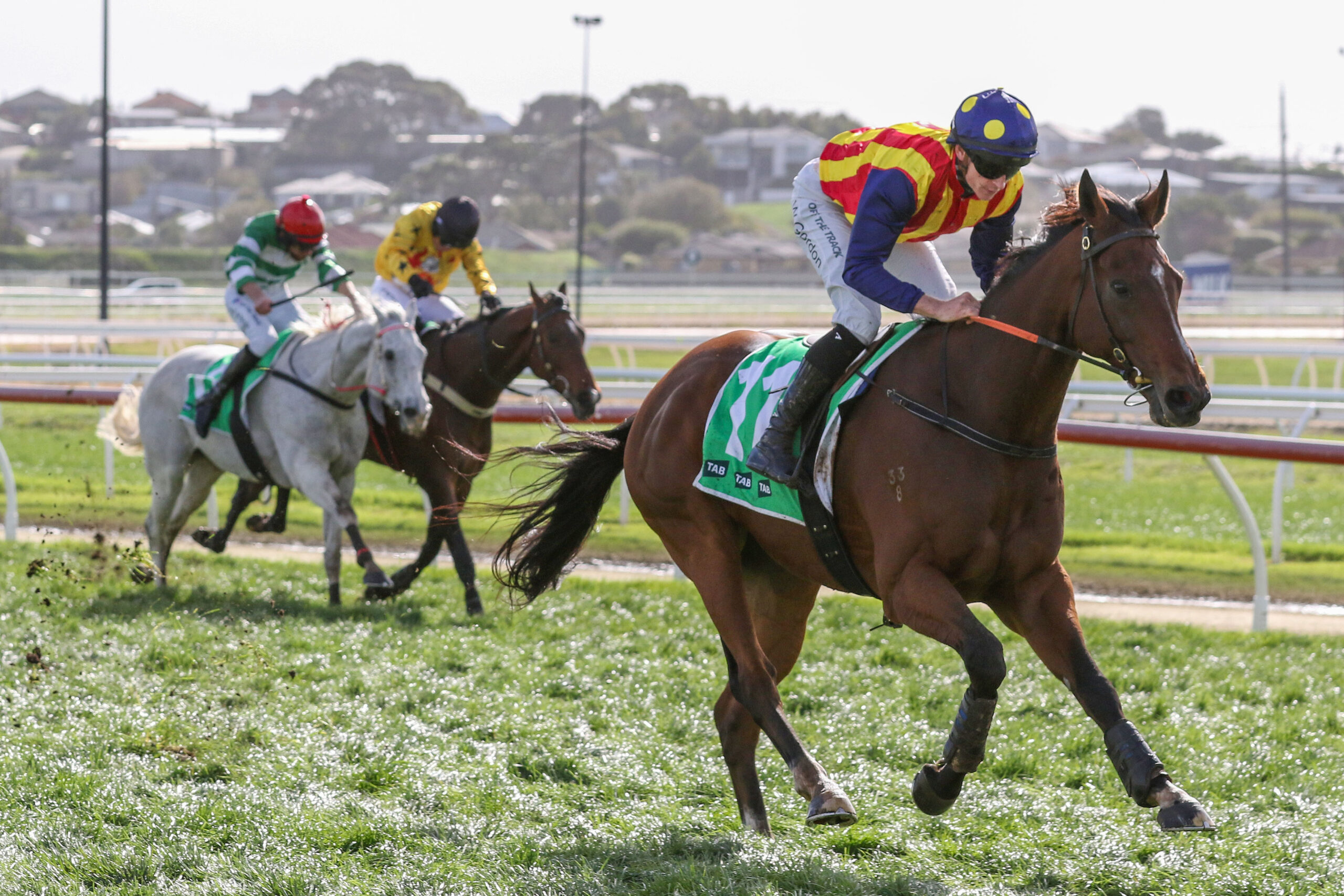 0V9MR WATERVILLE0071 | Just Horse Racing