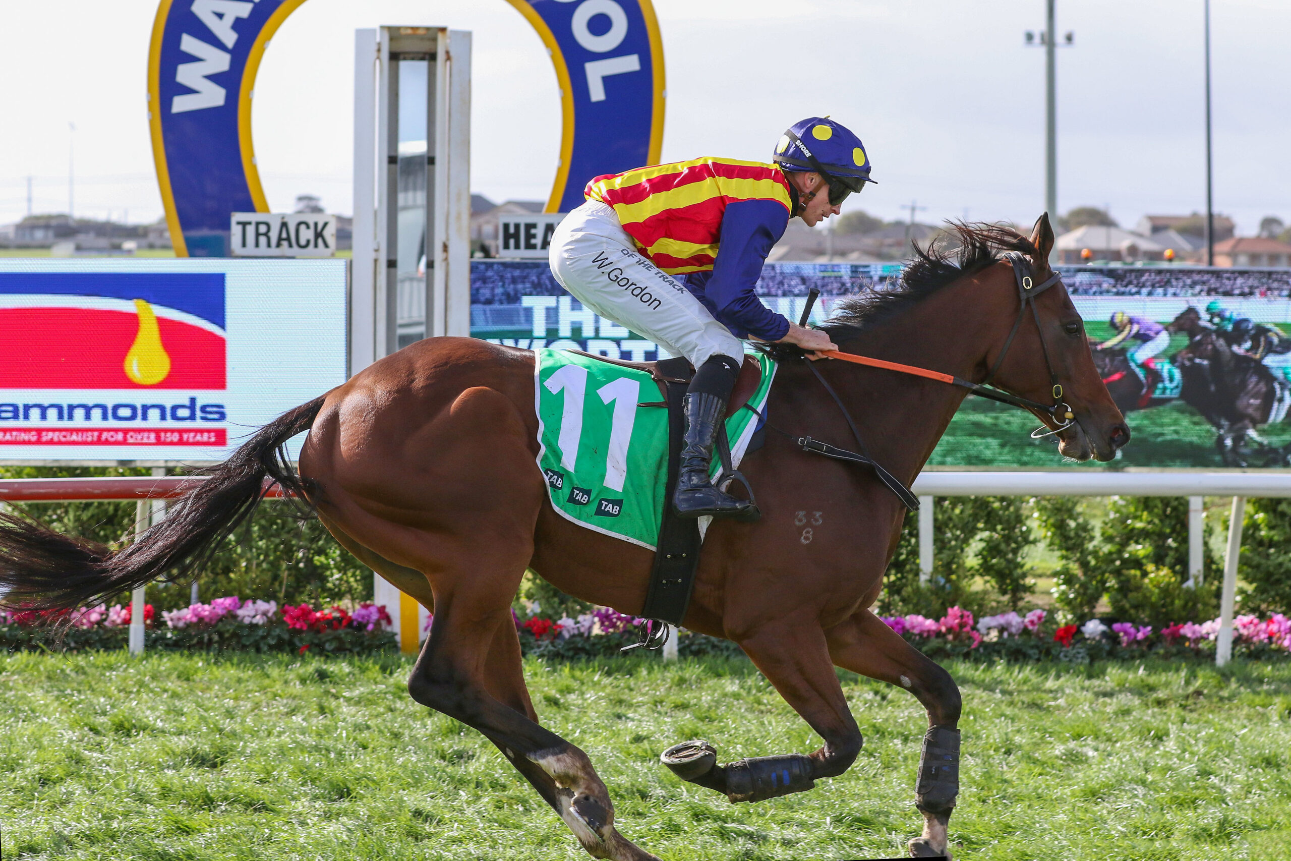 0V9MR WATERVILLE0085 | Just Horse Racing