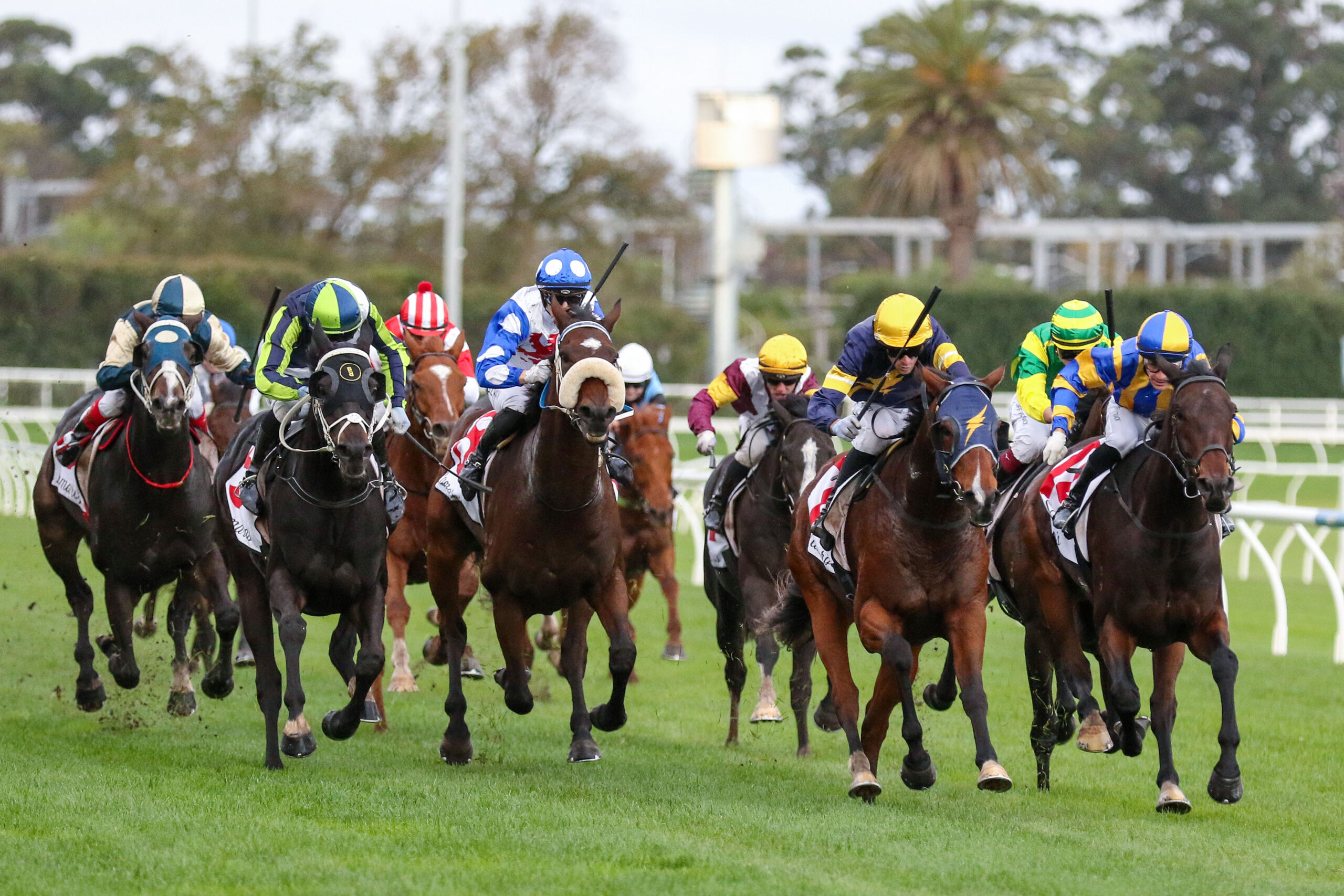 0V9PLYMOUTH0926 | Just Horse Racing