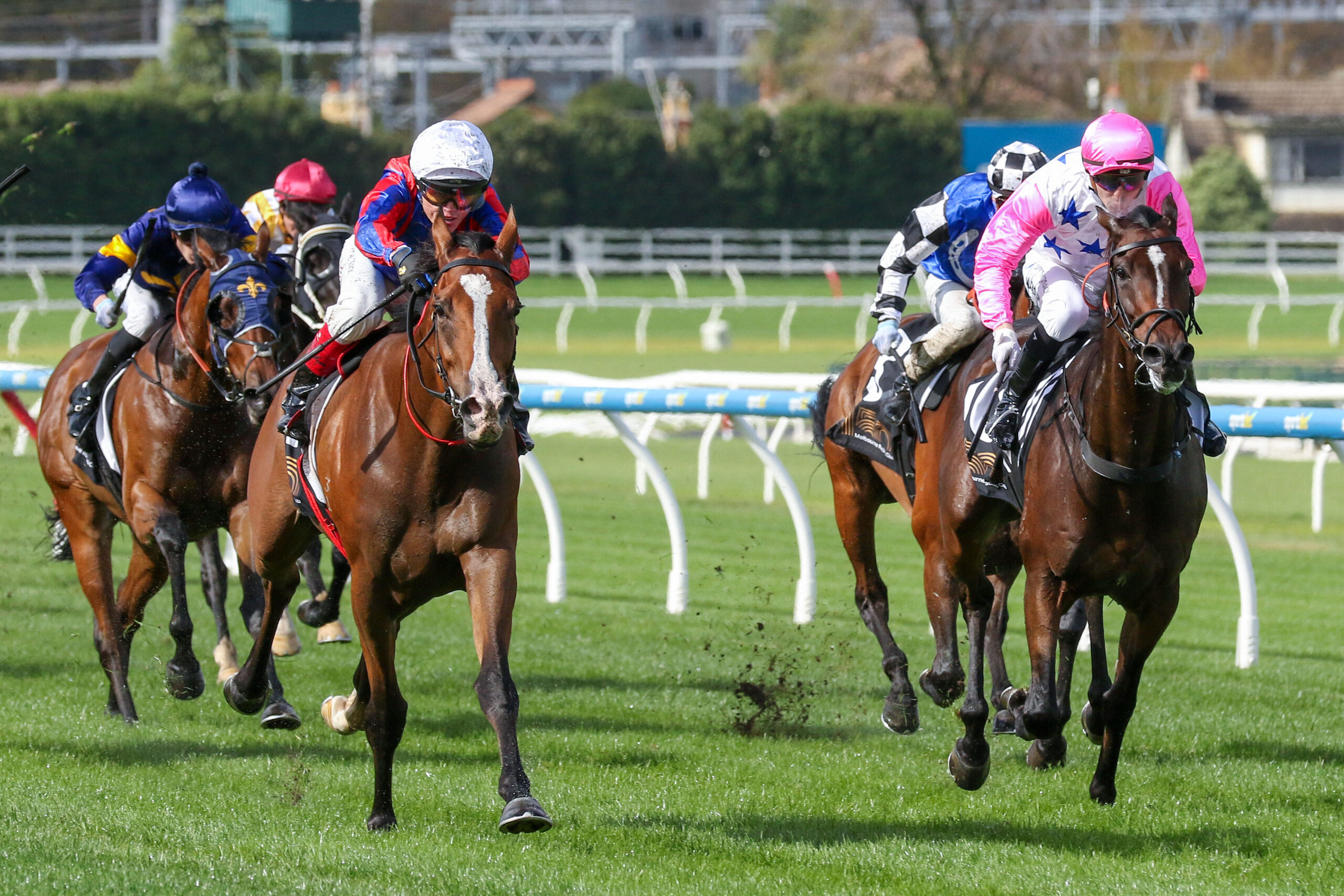 0V9SIMURGH0359 | Just Horse Racing
