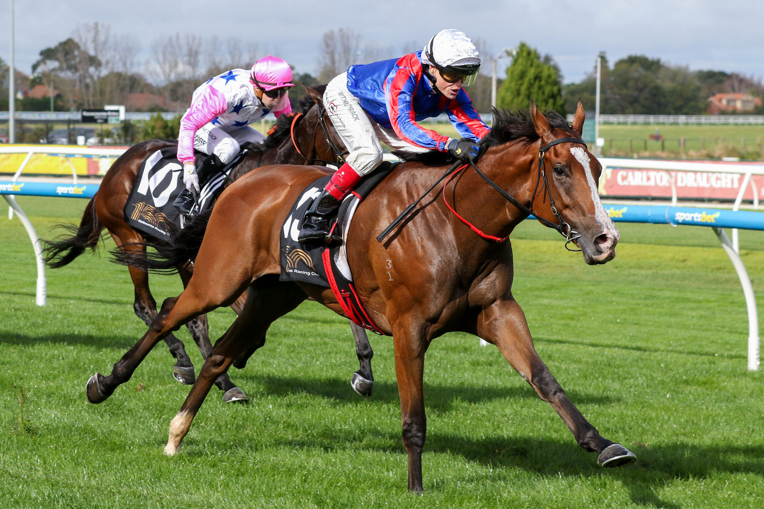 0V9SIMURGH0383 | Just Horse Racing