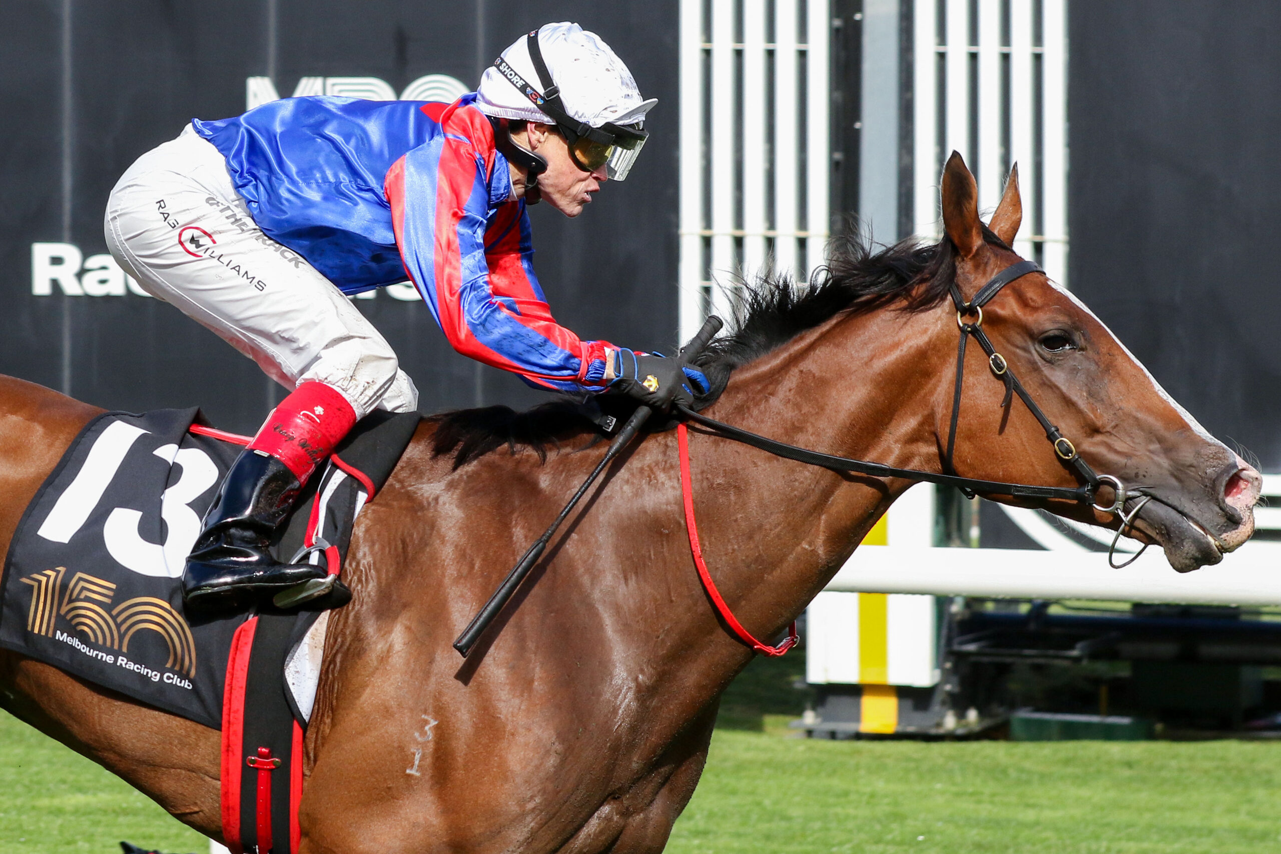 0V9SIMURGH0389 | Just Horse Racing
