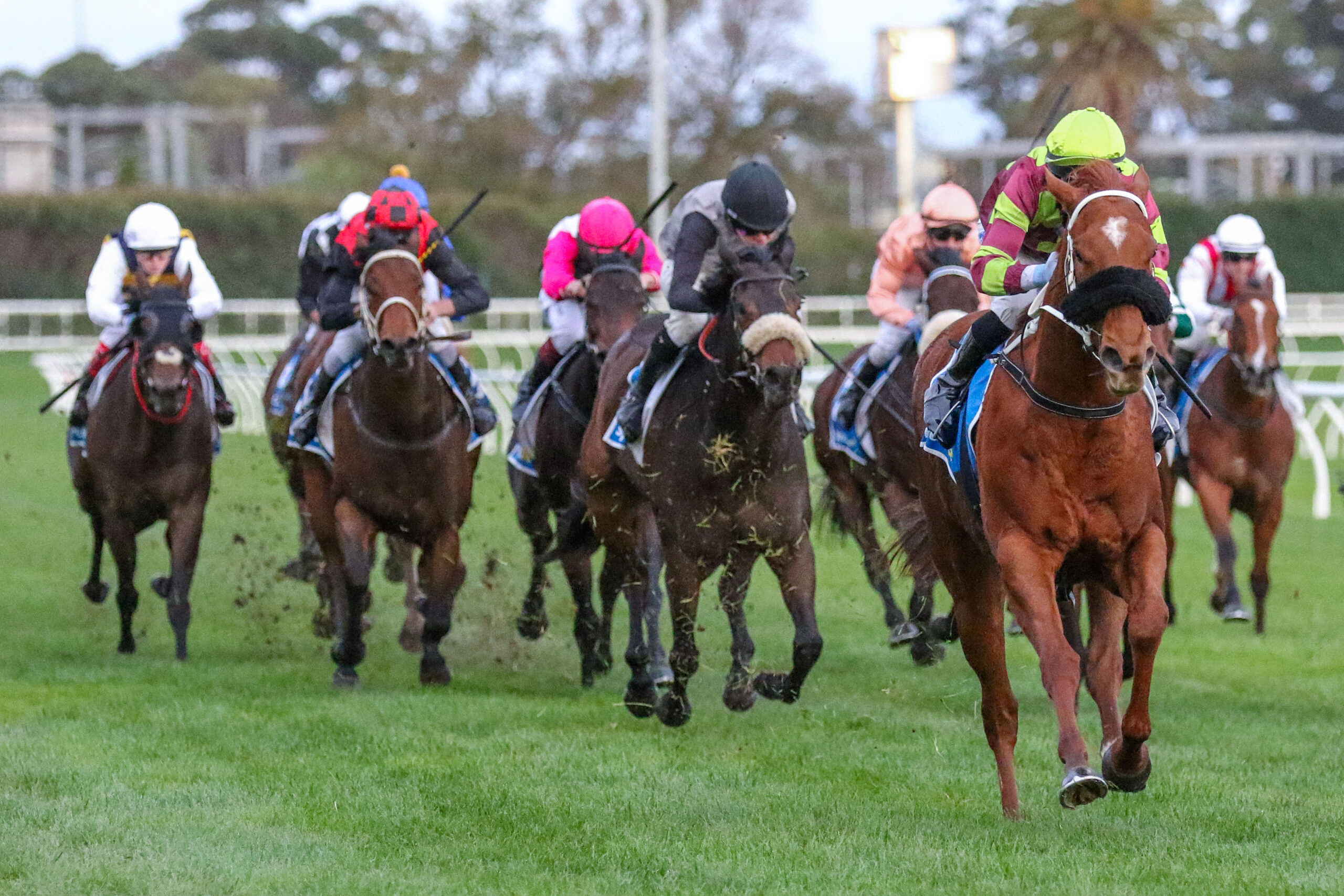 0V9SWIFT FORCE1005 | Just Horse Racing