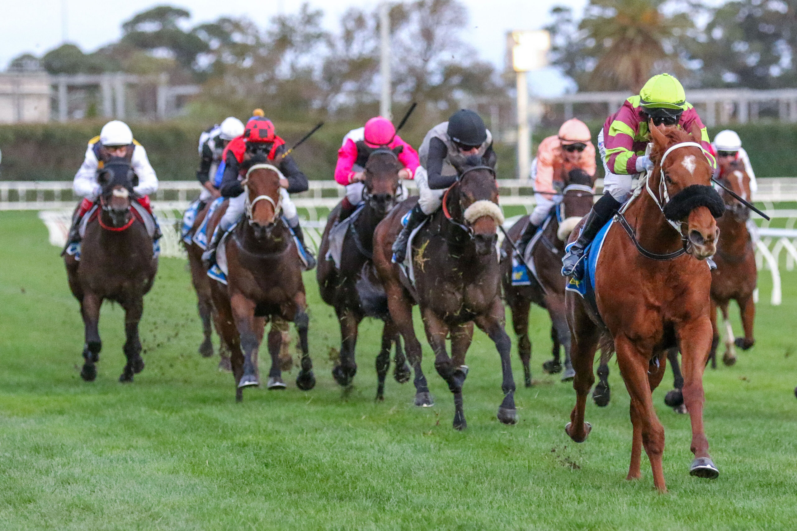 0V9SWIFT FORCE1006 | Just Horse Racing