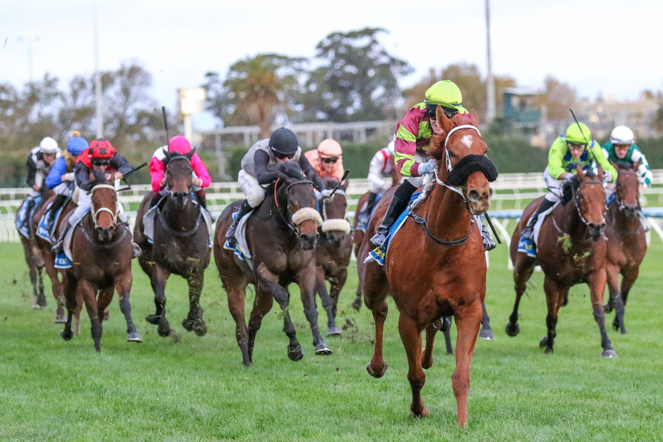 0V9SWIFT FORCE1011 | Just Horse Racing