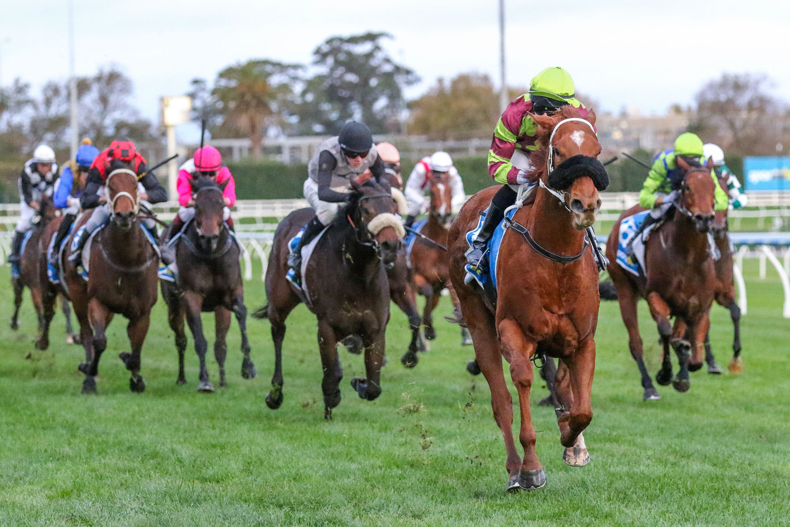 0V9SWIFT FORCE1013 | Just Horse Racing