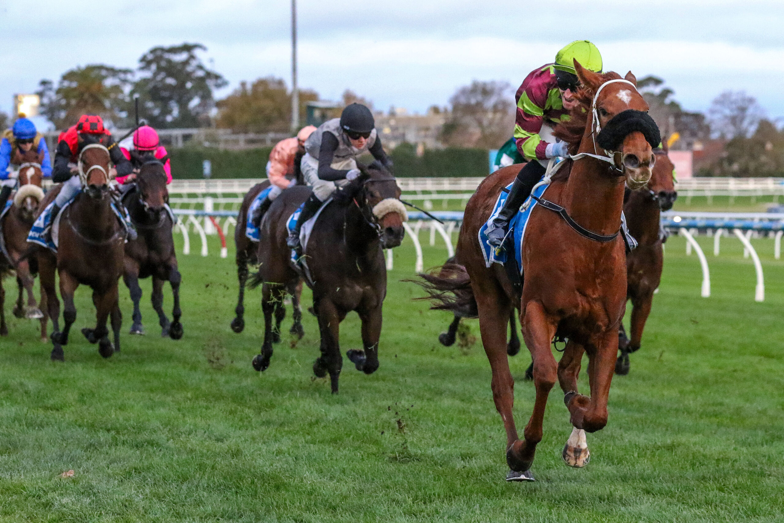 0V9SWIFT FORCE1017 | Just Horse Racing