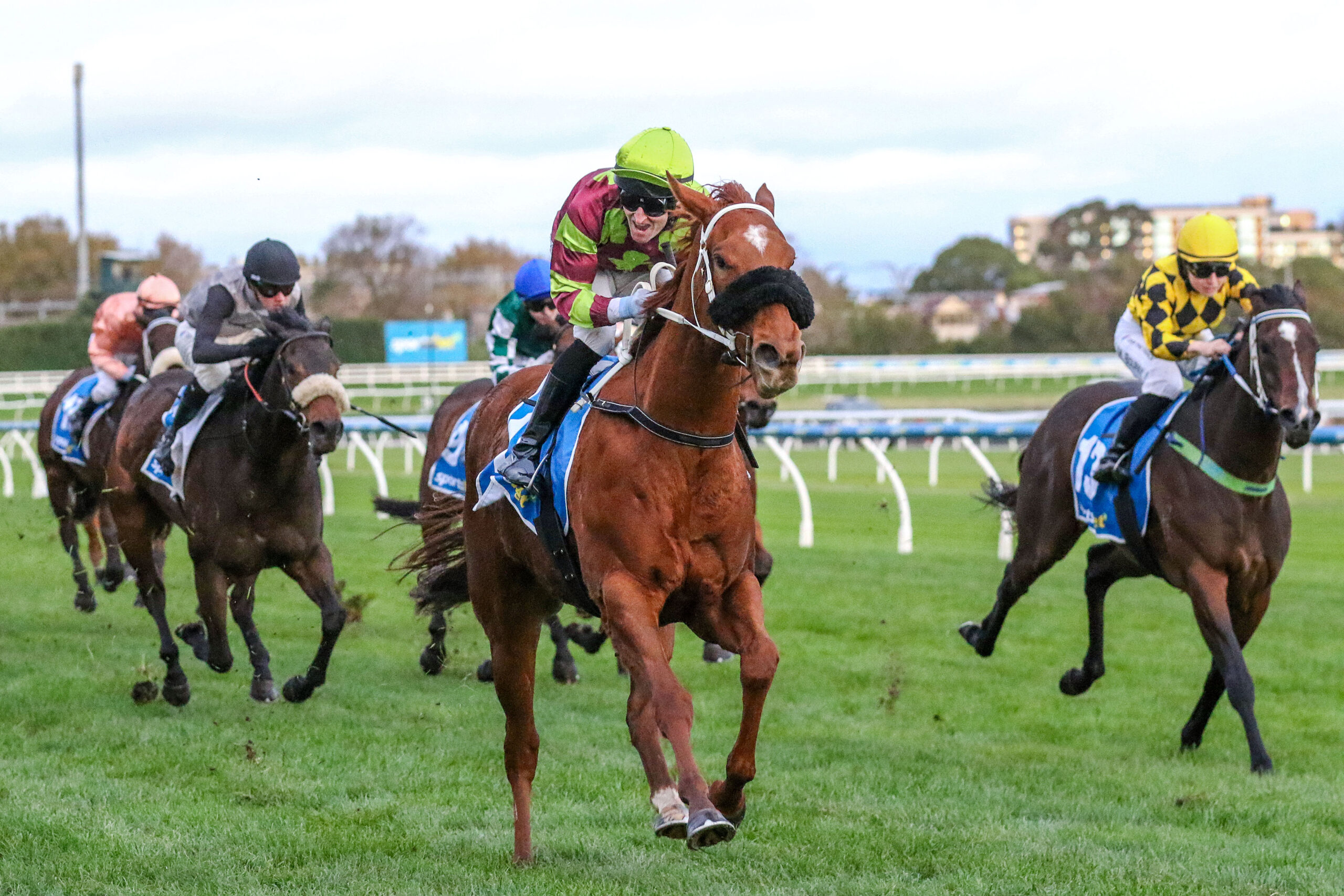 0V9SWIFT FORCE1018 | Just Horse Racing