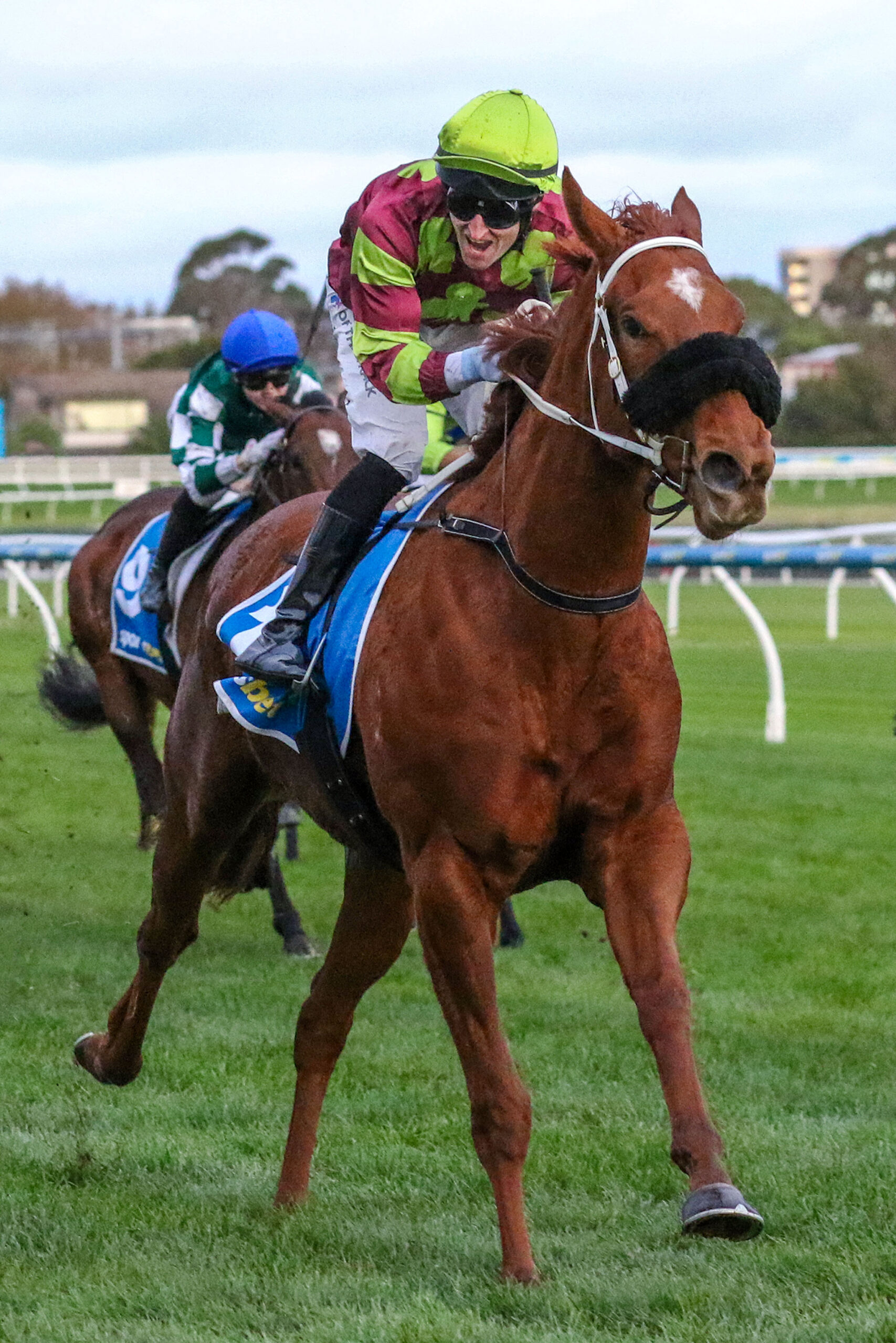 0V9SWIFT FORCE1019 | Just Horse Racing