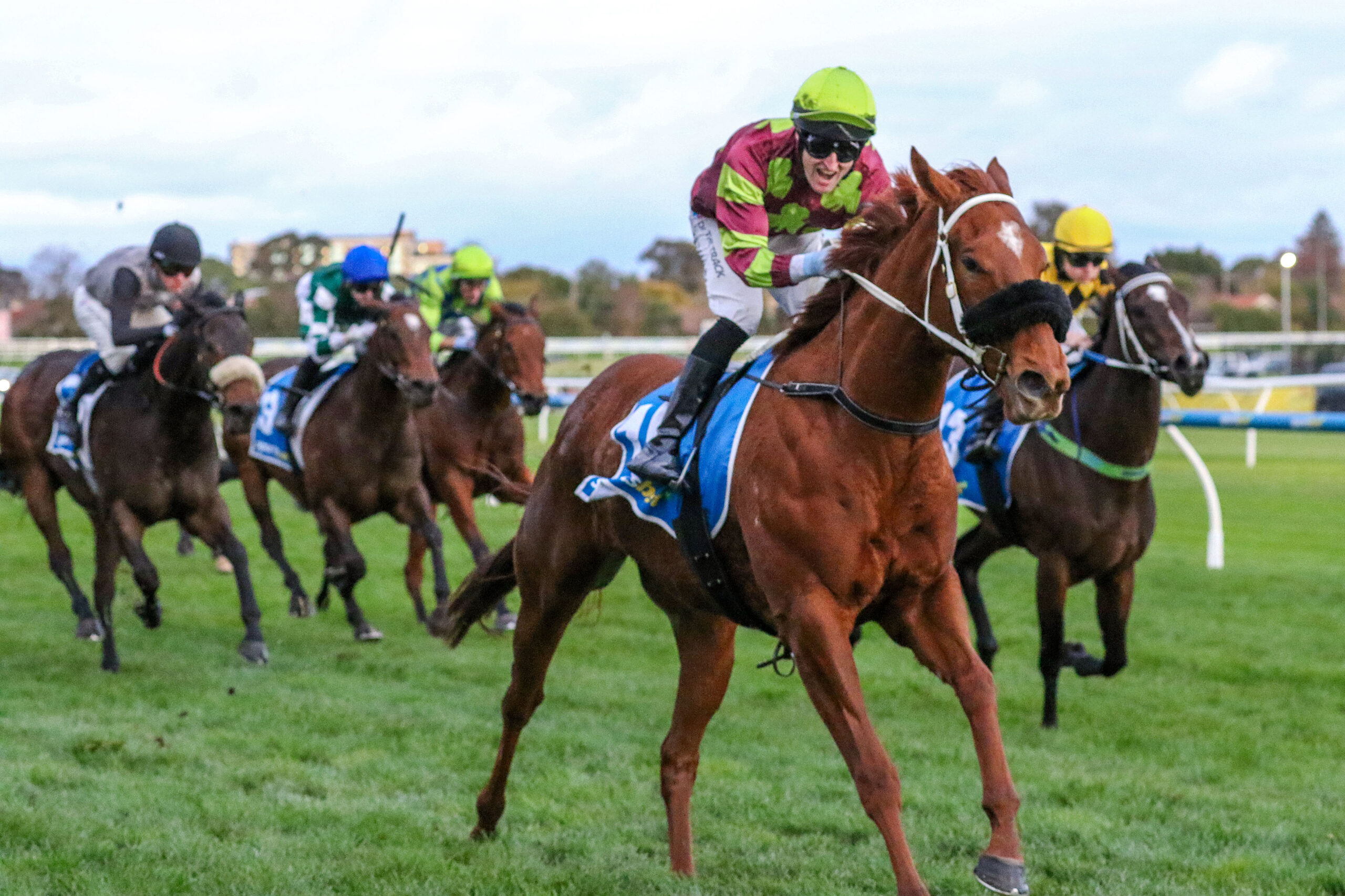 0V9SWIFT FORCE1023 | Just Horse Racing