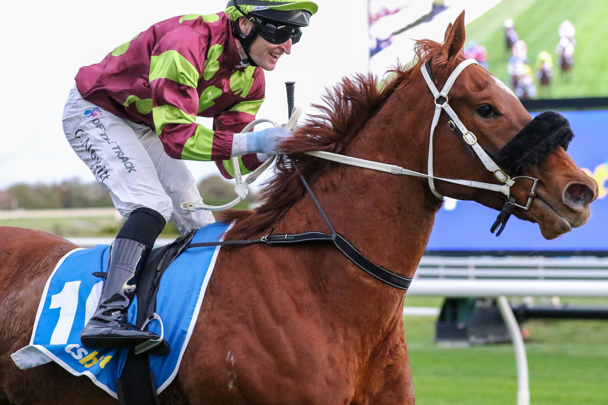 0V9SWIFT FORCE1028 | Just Horse Racing