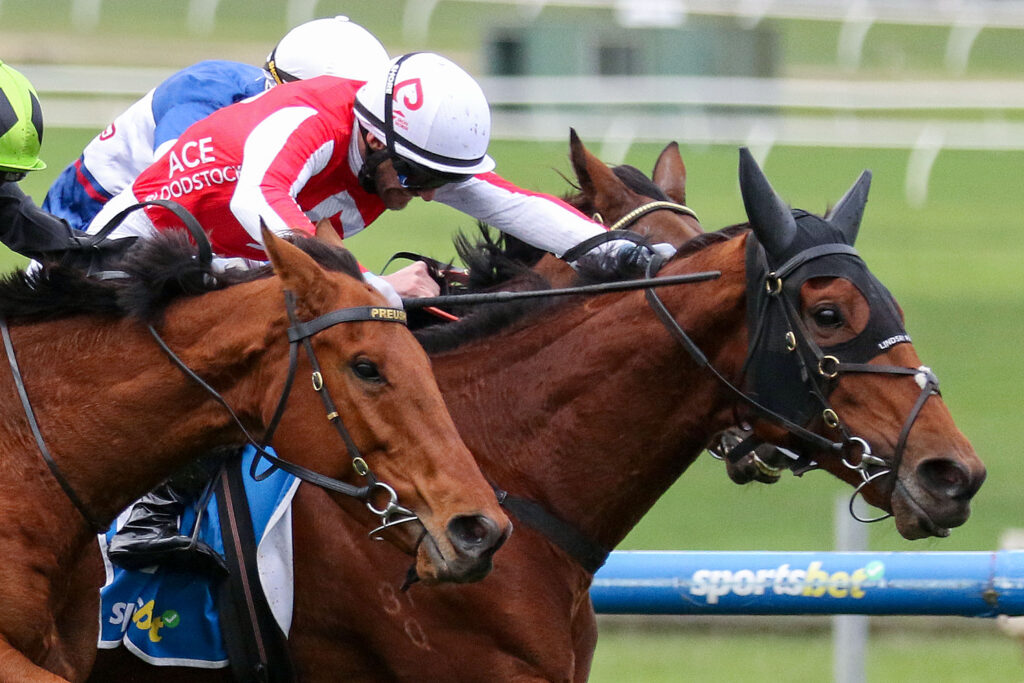 The Western Front holds firm in the Sandown Cup | Just Horse Racing