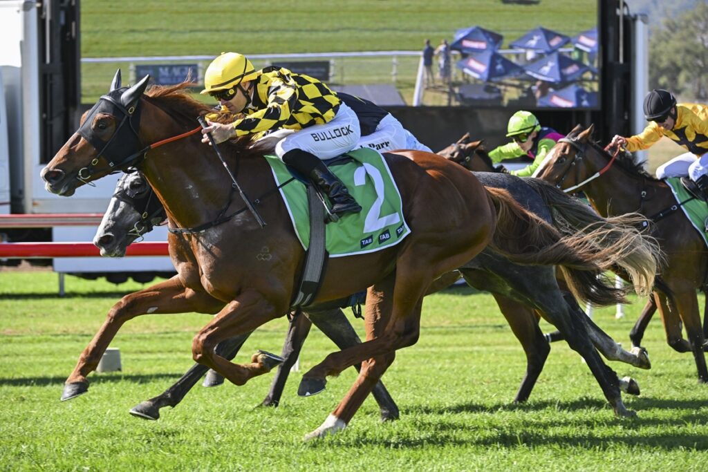 Messara sets sights on Winx Guineas with Autumn King | Just Horse Racing