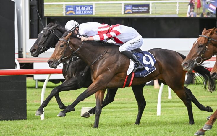 Rachel King finds the right lane for Miss Freelove | Just Horse Racing