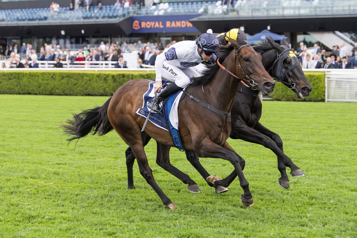 Thebudgiesmugla heads Queen Elizabeth II Cup betting at Rosehill | Just ...