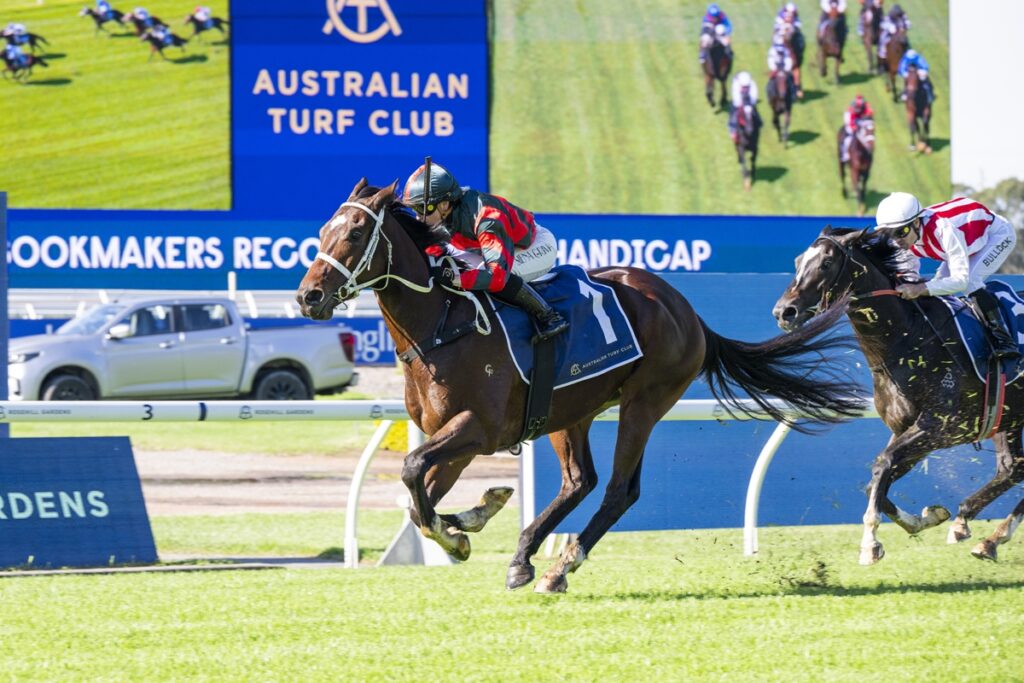 Boom colt Tron Bolt short odds in JJ Atkins Stakes betting | Just Horse ...