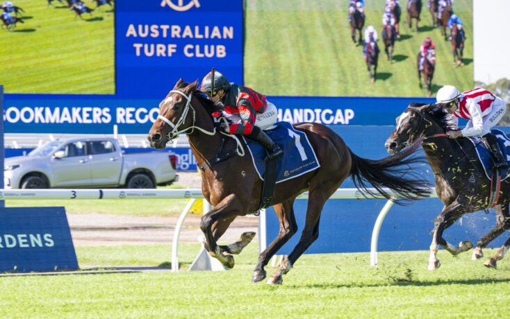 Boom Sydney colt short odds in JJ Atkins Stakes betting | Just Horse Racing