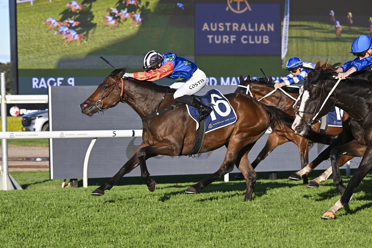 Portland no certainty to line up in Queen Elizabeth II Cup | Just Horse ...